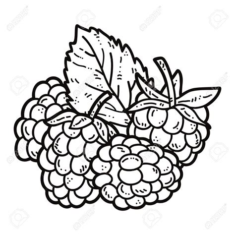 Blackberry Clipart Black And White