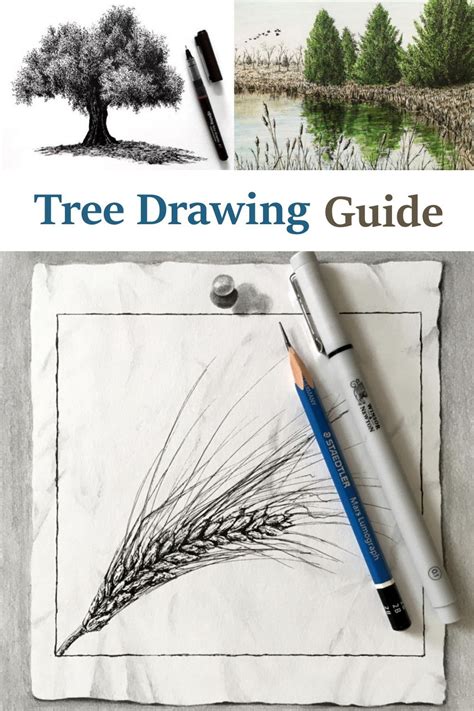 How To Draw Realistic Trees With Pen Ink Artofit