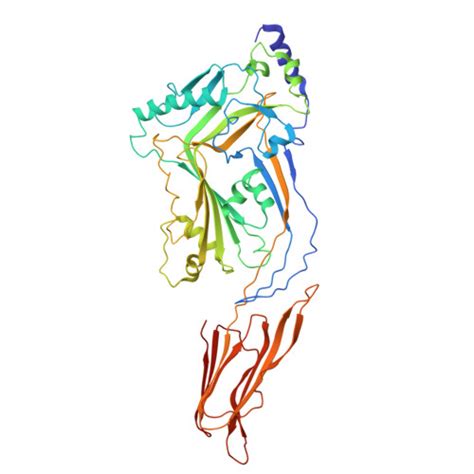 Rcsb Pdb 4zgh Structure Of Sugar Binding Protein Pneumolysin