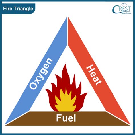Class 8 Combustion And Flame Key Concepts Explained