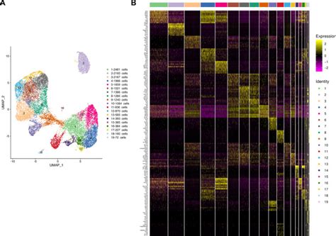 Single Cell Rna Sequencing Reveals That The Immunosuppression Landscape Induced By Chronic