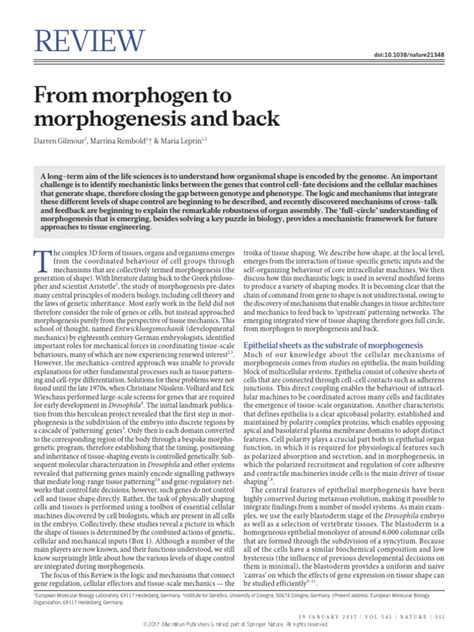 From Morphogen To Morphogenesis And Back Pdf Morphogenesis Cell Biology