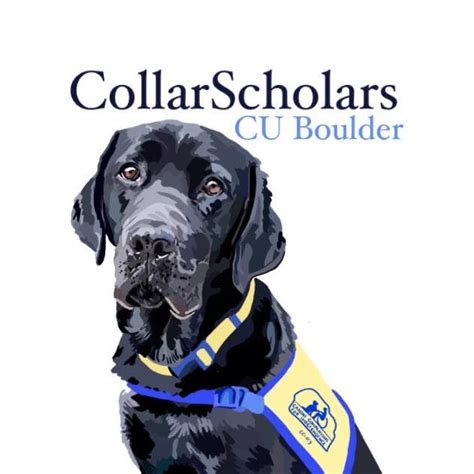 I Am Happy To Share That Im Starting A New Position As Head Of Finance At Collar Scholars Cu