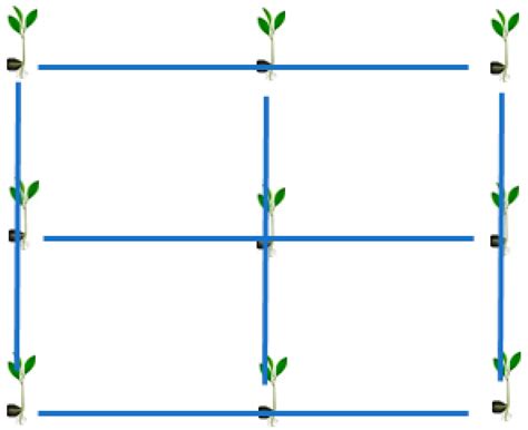 What Is Quincunx Method Of Planting At George Bousquet Blog