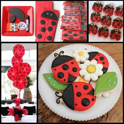 Ladybug Birthday Party Ideas