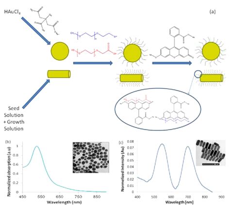 Figure 1 From Diffusion Reflection And Fluorescence Lifetime Imaging