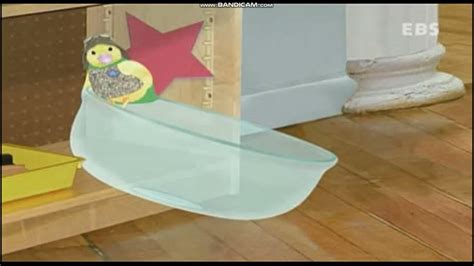 침팬지 구하기 Youtube