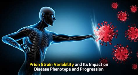 Prion Strain Variability And Disease Phenotypes
