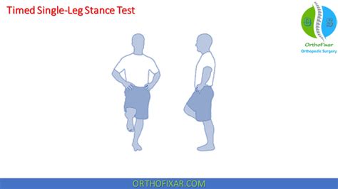 Static And Dynamic Balance Tests Clinical Assessment Guide