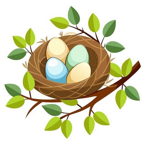 Ninho De Passarinho Desenho