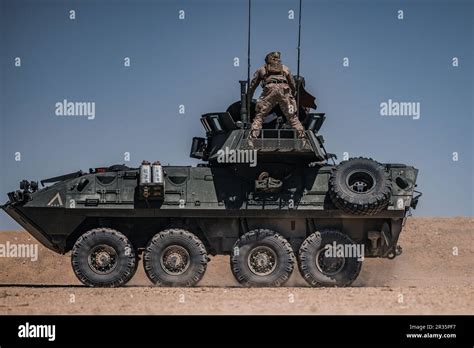 Us Marine Corps Cpl Blake Pitmon A Light Armored Vehicle Lav
