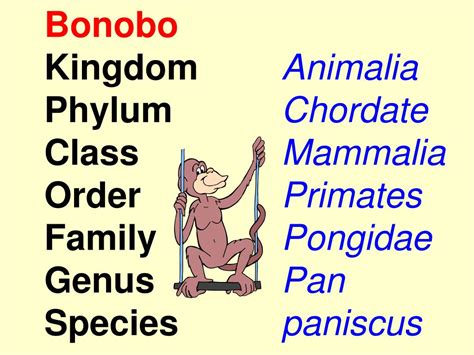 Ppt Taxonomy Powerpoint Presentation Free Download Id 2788664