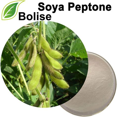 Buy Soya Peptonesoy Peptone Pricesupplier From Bolise