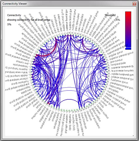 connectivity · brainsuite