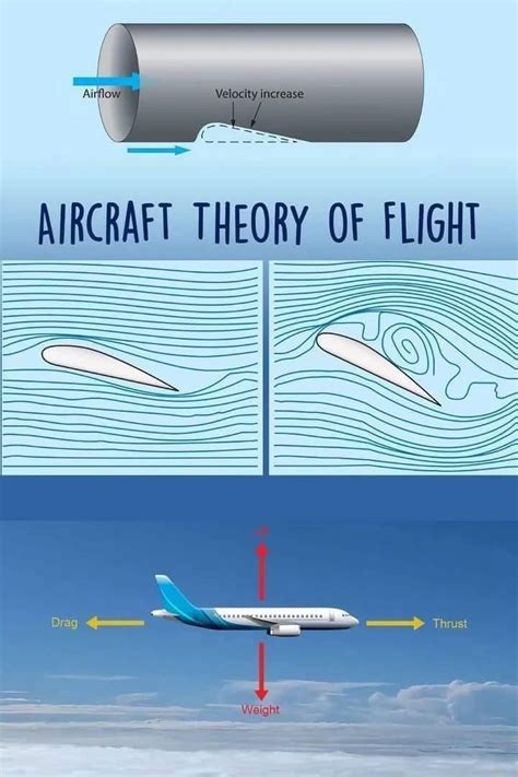 Aviation The Basics Of Flight ️ How Do Planes Stay In The Sky 1️⃣