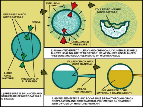 Microcapsule Microencapsulation Cotco Ncr Co Ltd