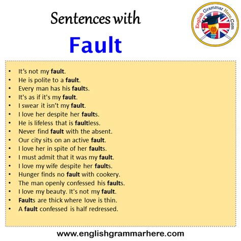 Sentences With Fault Fault In A Sentence In English Sentences For