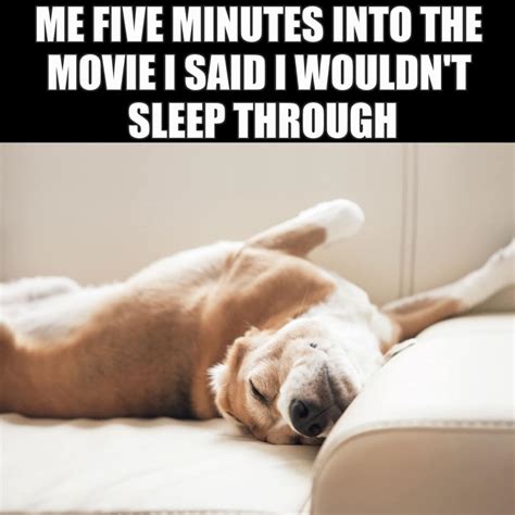 Get Ready To Lol With These 27 Funny Memes About Life