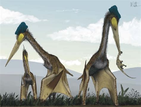 Life Restoration Of A Group Of Giant Azhdarchids Quetzalcoatlus