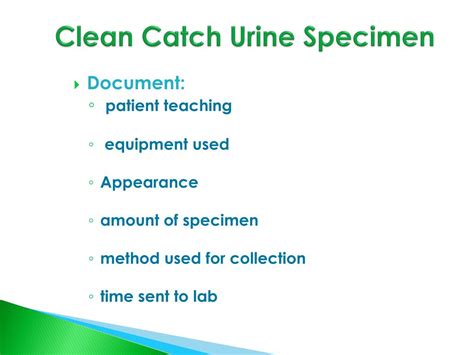 Ppt Specimen Collection Powerpoint Presentation Free Download Id