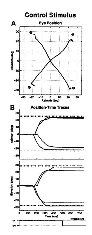 Typical Saccadic Eye Movement Responses Towards The Control Stimulus ͑