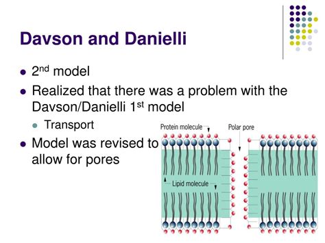 Ppt Lipids Membranes And The First Cells Powerpoint Presentation Id