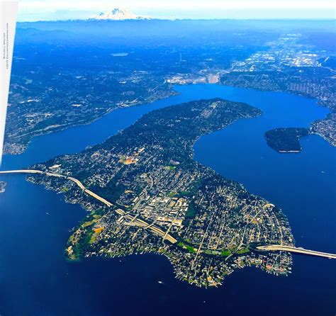 Tree Removal Permits In Mercer Island Wa 2026 Guide