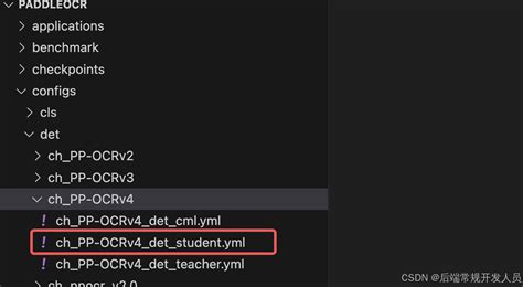 最好用的图文识别ocr paddleocr 4 模型微调 csdn博客
