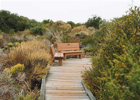 Visiting Elfin Forest Natural Area In Los Osos California
