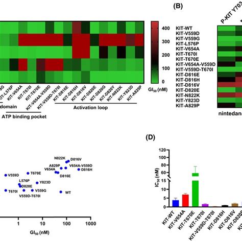 Anti‐proliferation Of Human Gist Cancer Cell Lines And Patient‐derived Download Scientific