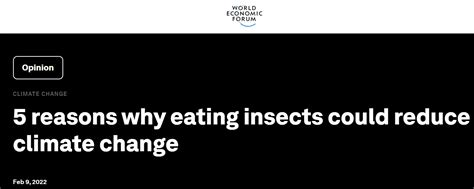 Im Not Fcking Eating Bugs A Manifesto The Burning Platform