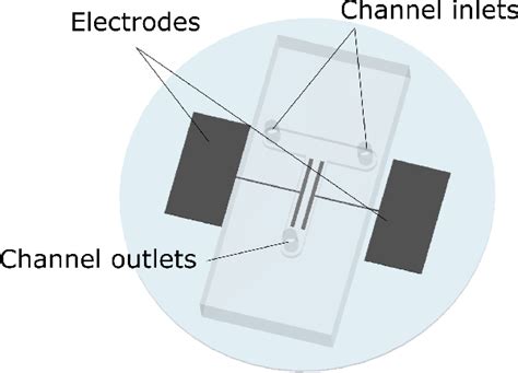 Figure 1 From Imaging Concentration Fields In Microfluidic Fuel Cells