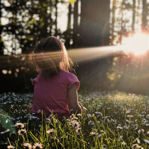 Vitamin D3 Deficiency And Hair Loss