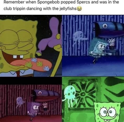 Umm What Spongebobmemes