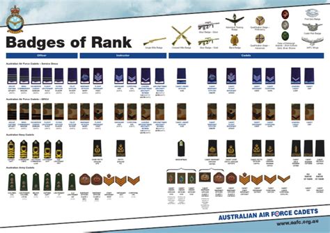 Aafc Badges Of Rank Pdf