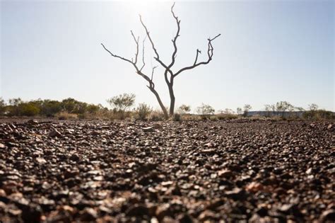 Everickhf On Linkedin Historyteacher Everickfoundation Teacher Deeptime…