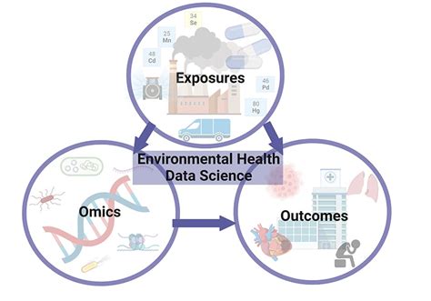 Harnessing High Dimensional Data In Environmental Health Sciences