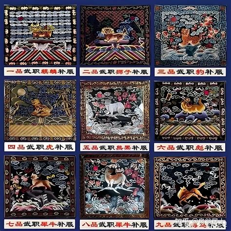 清朝的补子 知乎