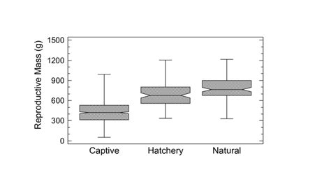 Notched Box And Whisker Plots Of Reproductive Mass For Age 4 Captive