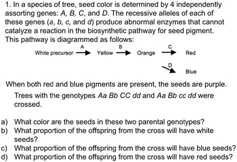 Solved 1 In A Species Of Tree Seed Color Is Determined By 4