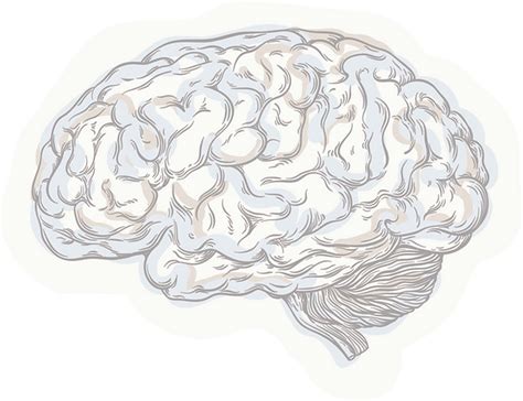 Non Invasive Neuromodulation Integrated Renewal