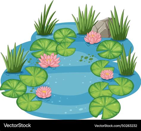 Tranquil Pond With Lily Pads Vector Image On Vectorstock Pond Drawing