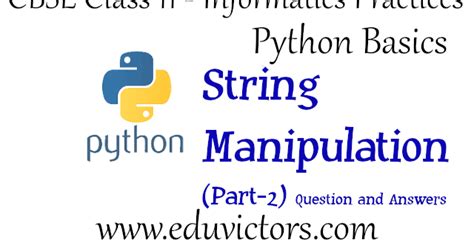 cbse papers questions answers mcq cbse class 11 informatics