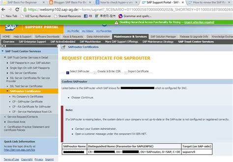 Sap Basis For Beginner How To Troubleshoot Sap Router Connectivity Issue And Renew Of The Sap