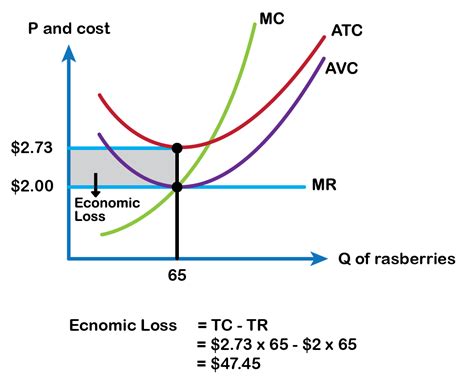 85 Economic Loss And Shut Down In The Short Run Principles Of