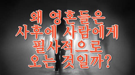 우주기 왜 영가영혼들은 사후에 사람에게로 필사적으로 오는가 사후 영혼은 스스로 자기 업을 벗을 수 없고 영혼들도