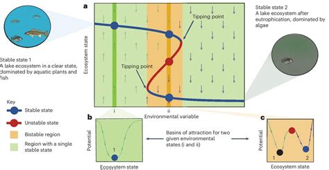 Lesson 12 Ecosystem And Stability