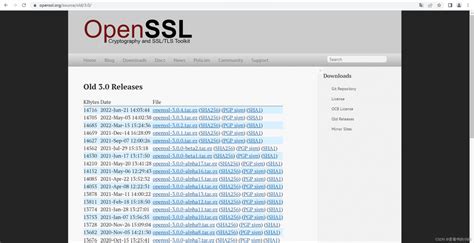 C Openssl库编译及使用（vs2017，python）51cto博客c编译