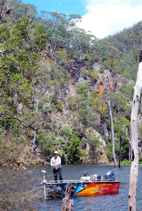 Brogo Dam — Nsw Fishotopia
