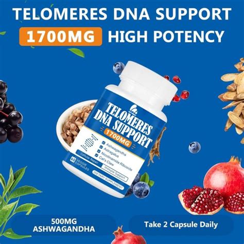 Telomere Dna Supported Dna Repair Cell Health And Stem Cell Supported